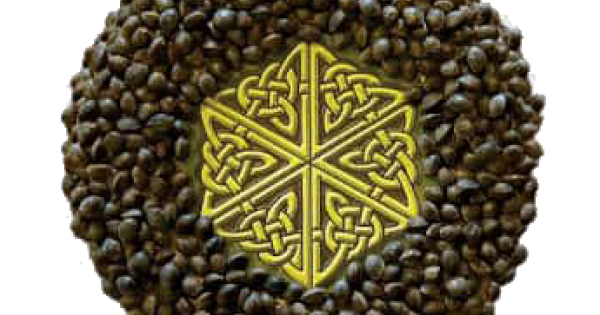 Mandala Seeds